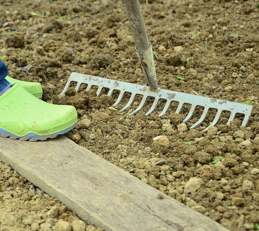Planter en terre argilo-calcaire - Les Jardins de Phocas